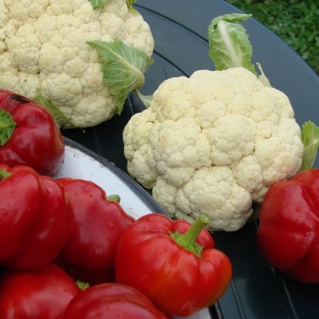 Legumele perene : alimentele