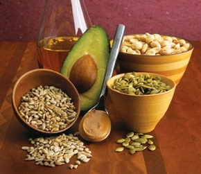 Lipidele in alimentatie : Alimentatie